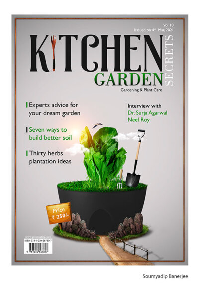 Magazine Cover Design-2021 – Moople Canvas